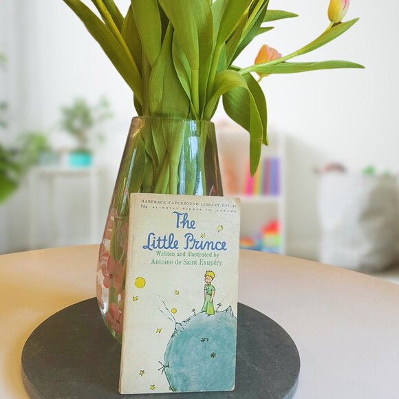 Toys | The Little Prince Novel | Poshmark
